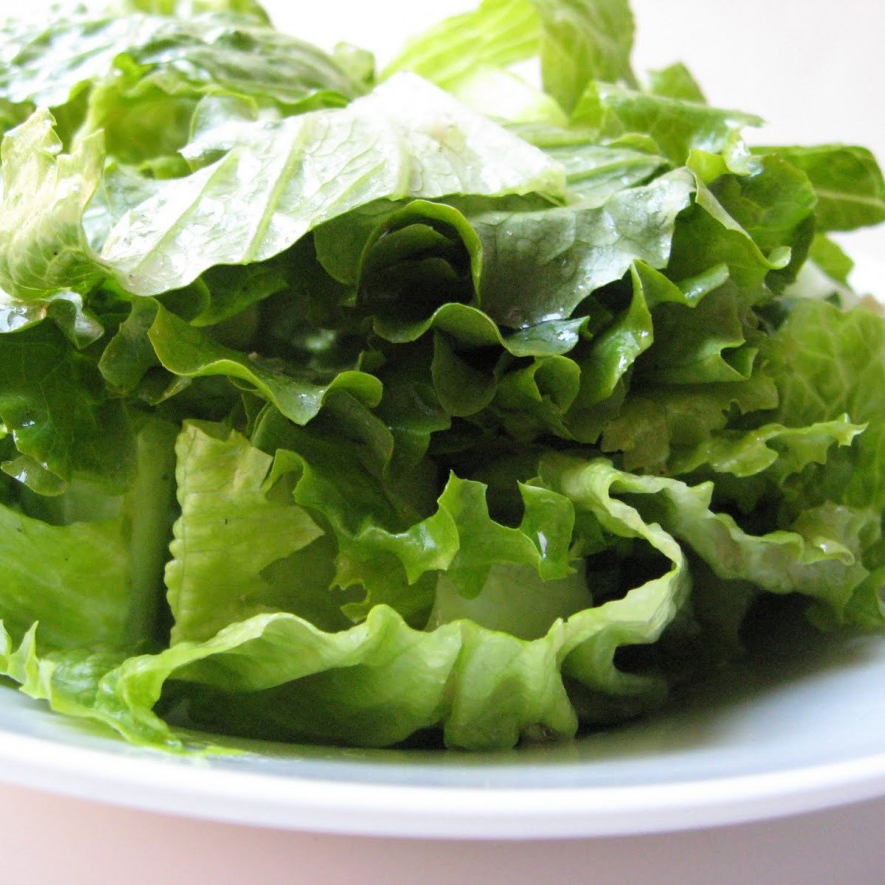 Insalata Verde (F) | DaRina